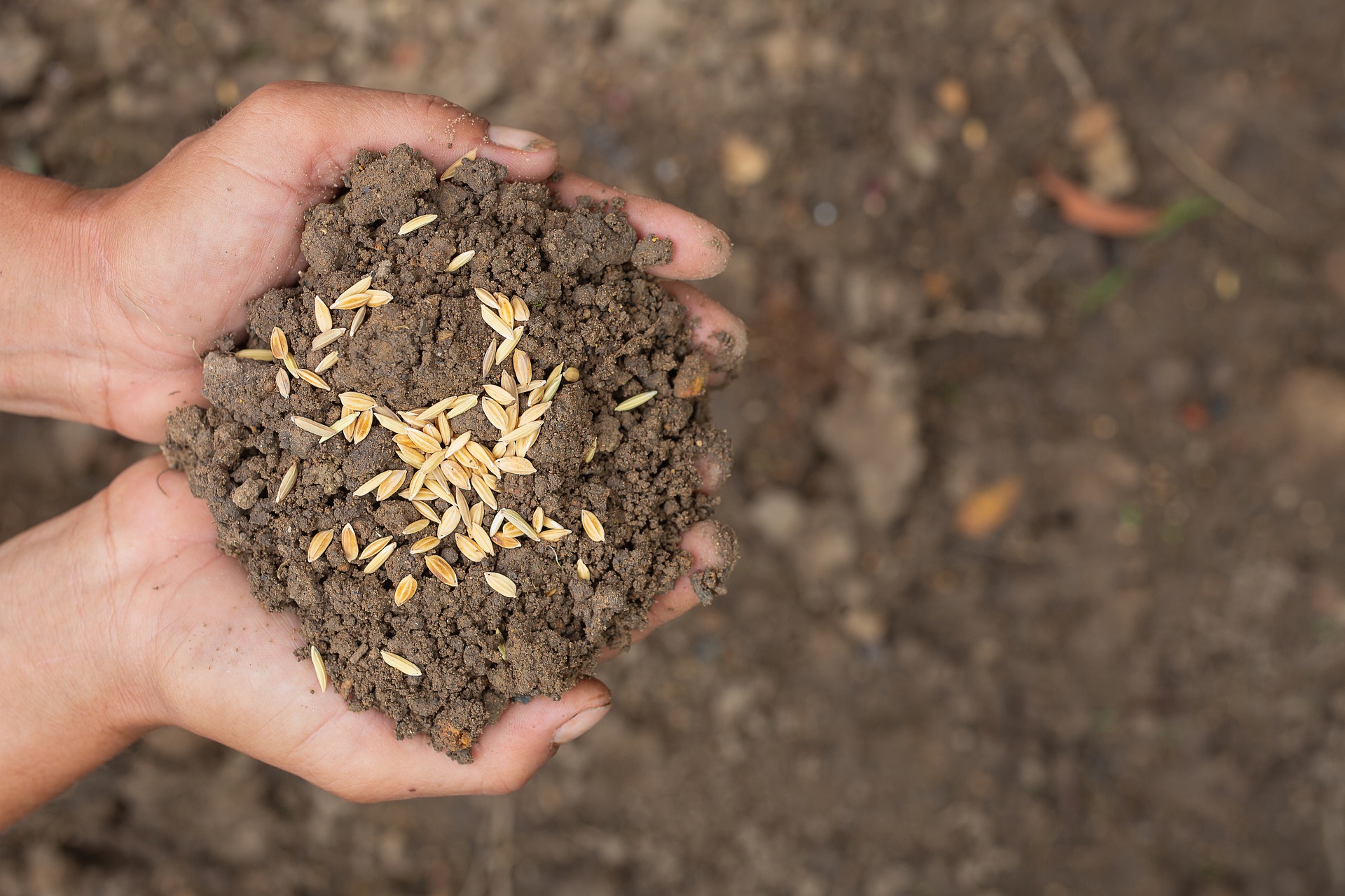 World Food Day Ideas - 10 Unique Topics for Exhibiting World Food Day ...